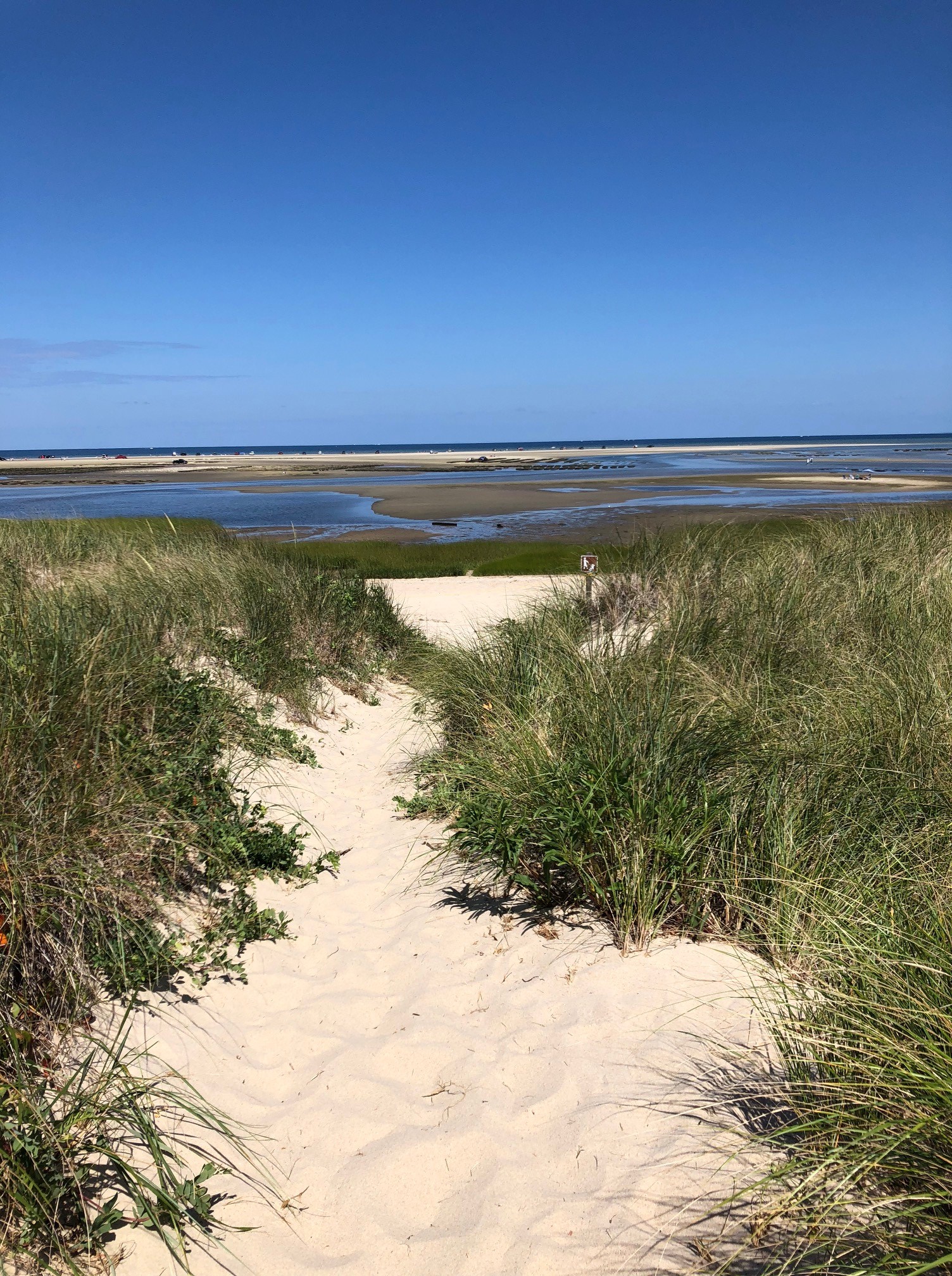 Summer Travel: Cape Cod | Pierce Alquist