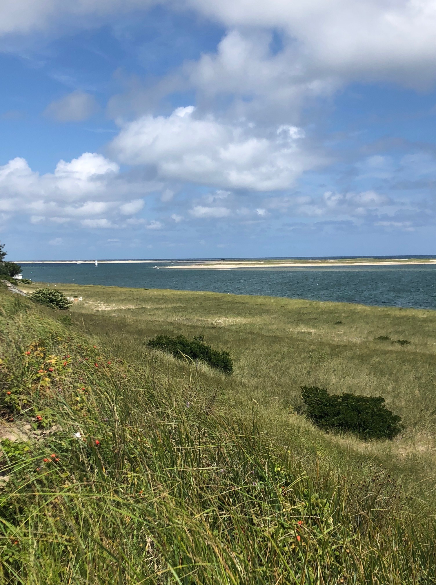 Summer Travel: Cape Cod | Pierce Alquist